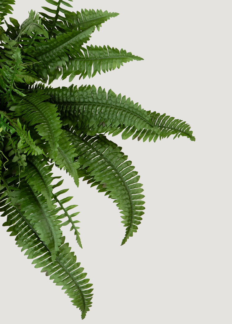 Artificial Ferns: Silk, Large & Realistic | Afloral