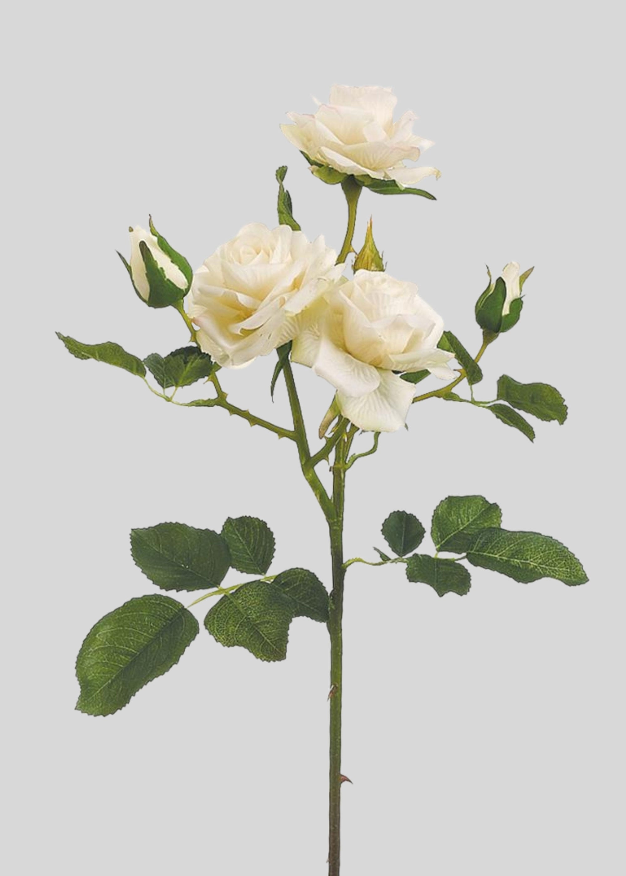 Rose Stem in Cream | Artificial Flowers and Roses at Afloral