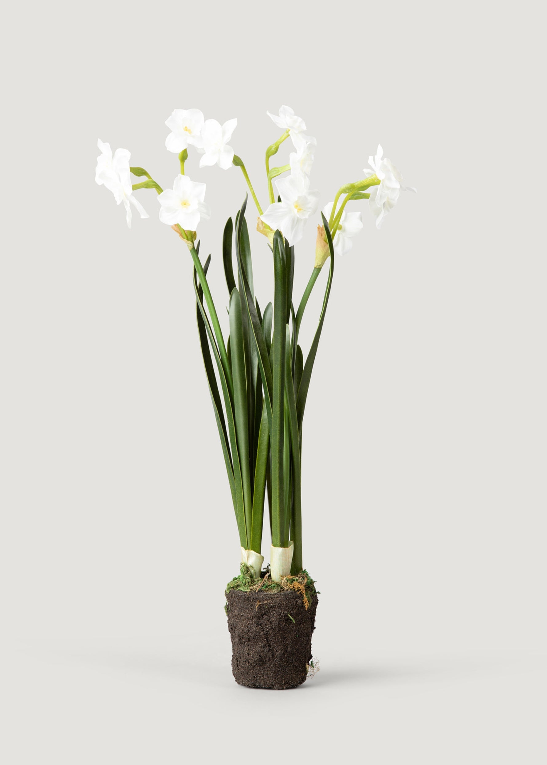 Faux Paperwhite Drop-In Plant | Artificial Spring Flowers | Afloral