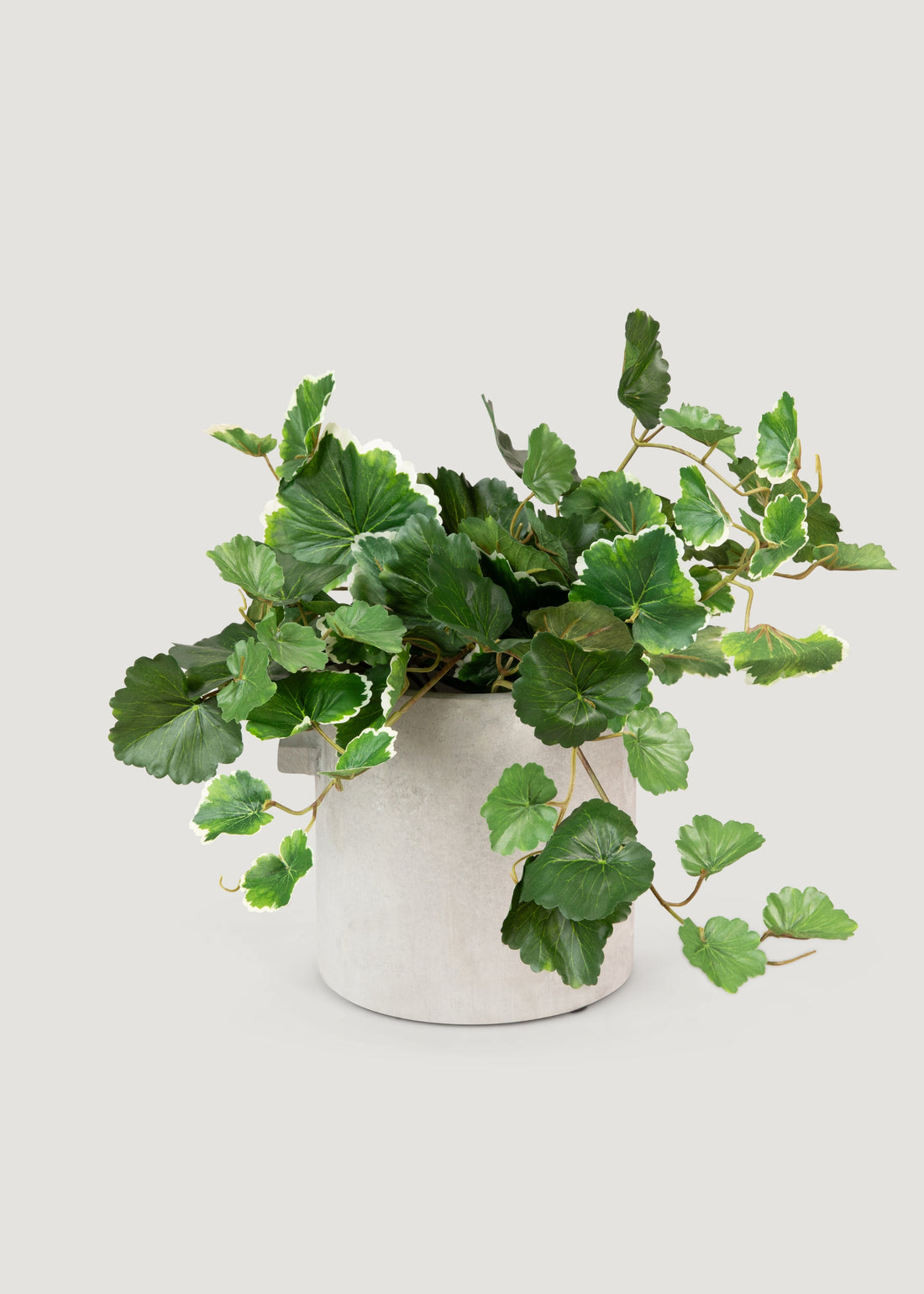 Hanging Geranium Leaf Plant | UV Resistant Fake Plants | Afloral