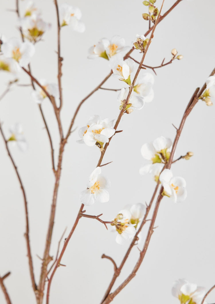 Cream Blossom Branch | Faux Branches | Afloral.com