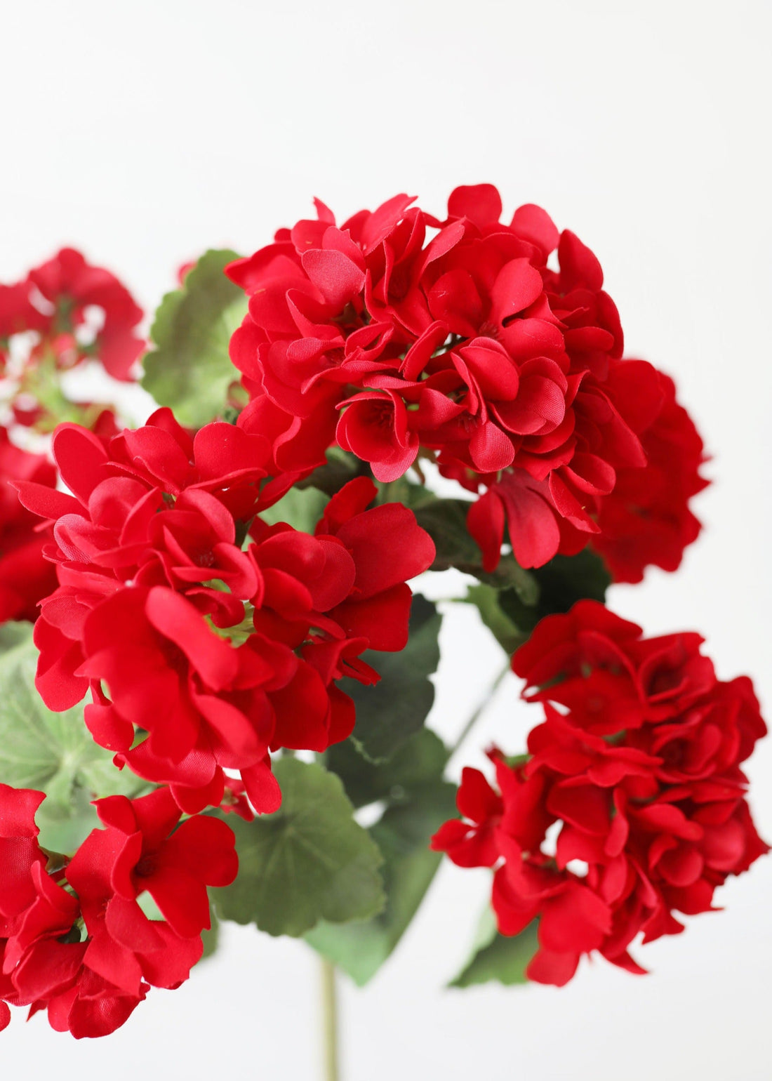 Fake Outdoor Red Geranium Bush | Water Resistant Fake Plants at Afloral