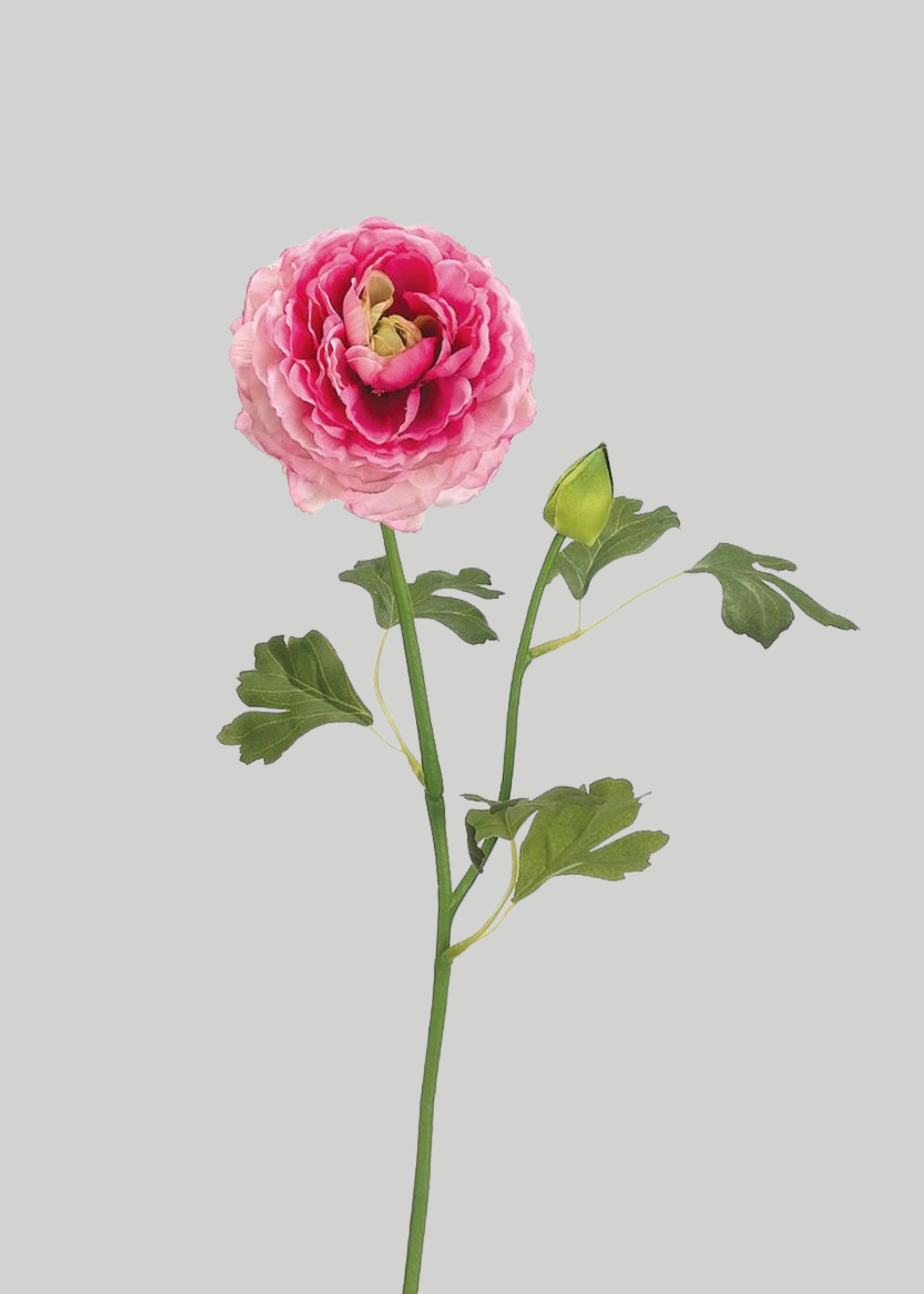 Artificial Ranunculus Flower in Cerise Pink - 19