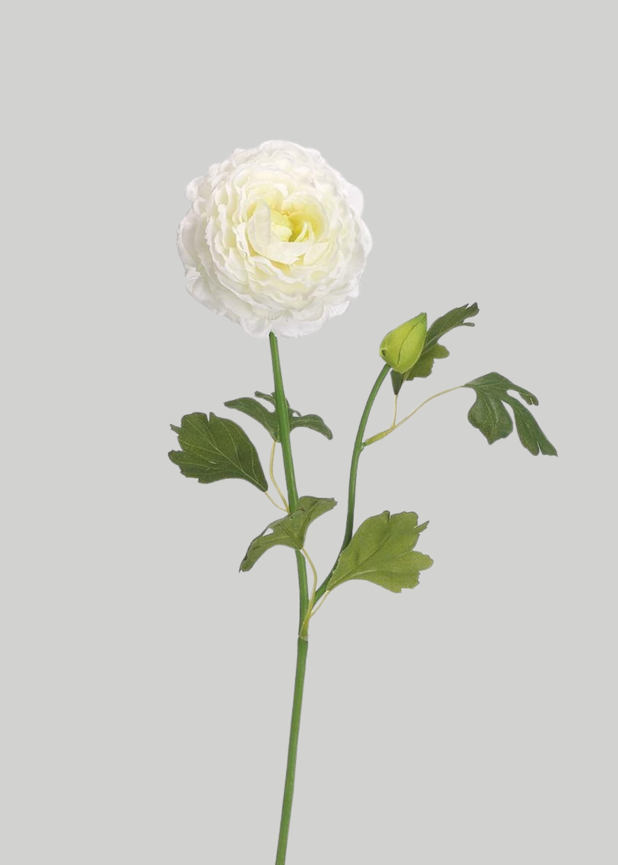 Cream White Artificial Ranunculus Flower - 19" – Afloral