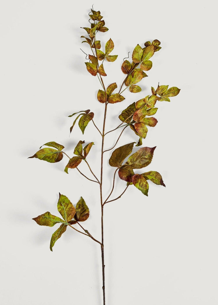 Fall Stems & Branches Collection | Afloral