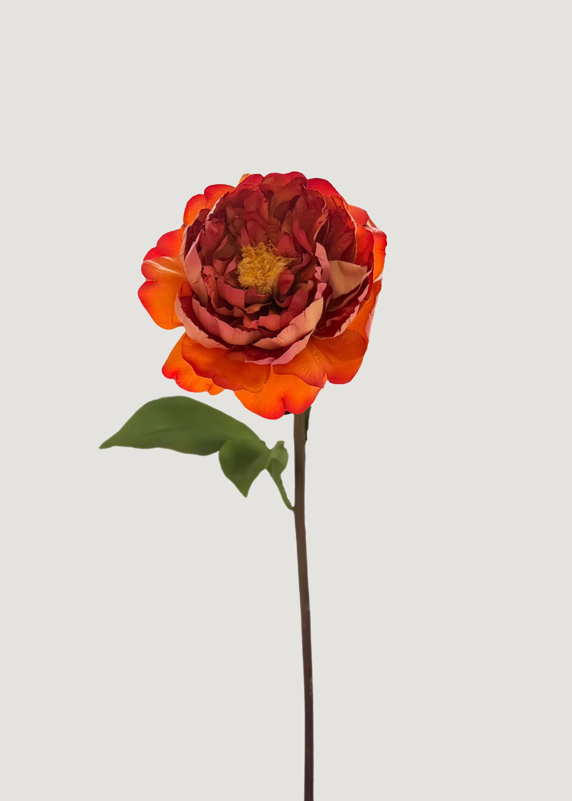 Peony Stem in Rust | Elevated Artificial Fall Flowers | Afloral