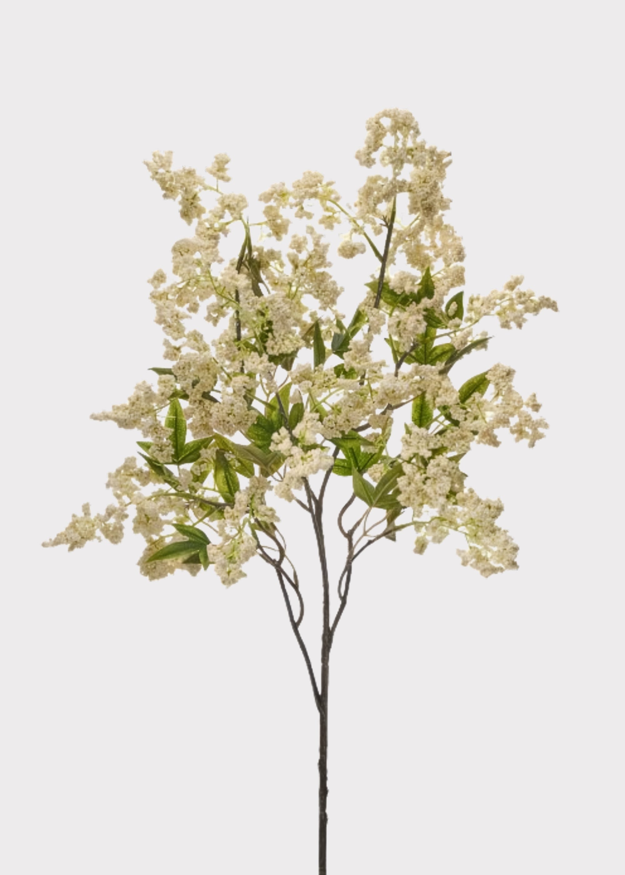 Cream Artificial Wild Plum Berry Branch - 43" – Afloral