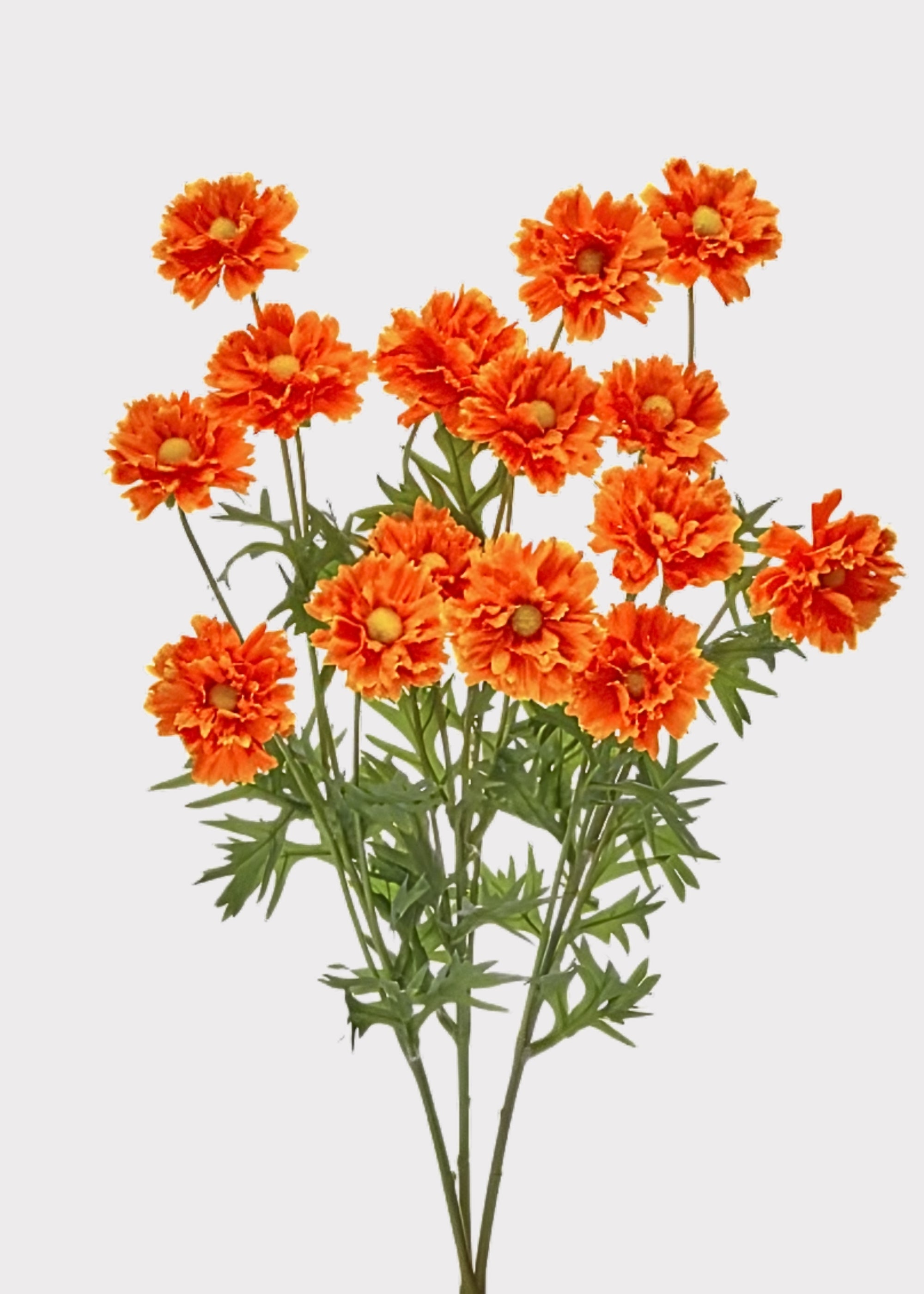 Orange Fake Ruffle Cosmos Flower Bush - 20" – Afloral