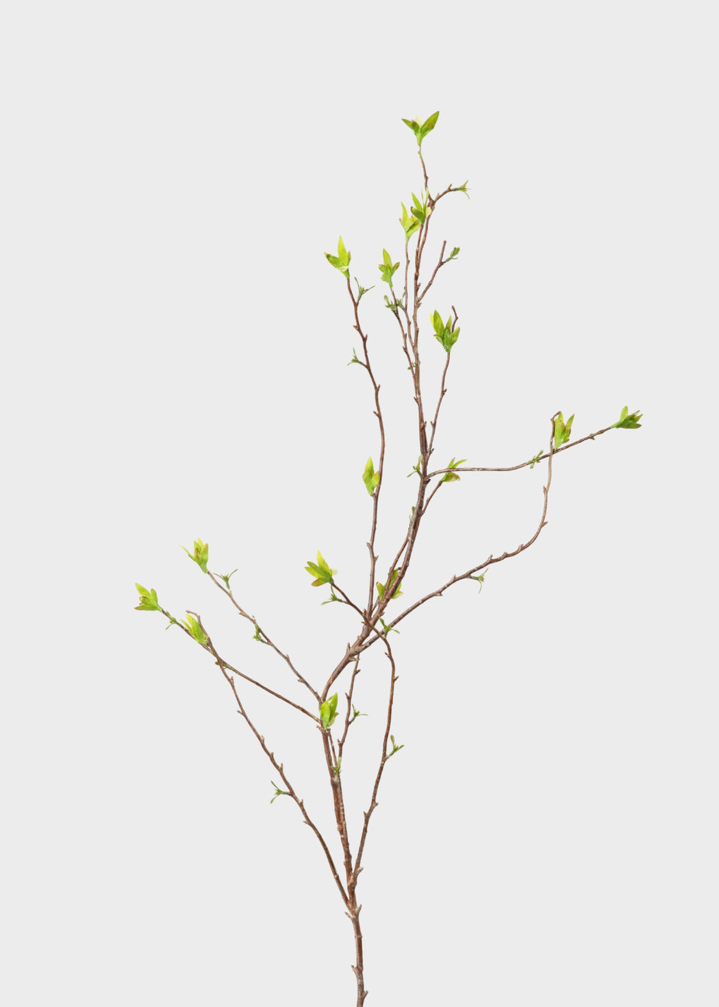 Fake Plants | Artificial Plants at Afloral.com – Page 2