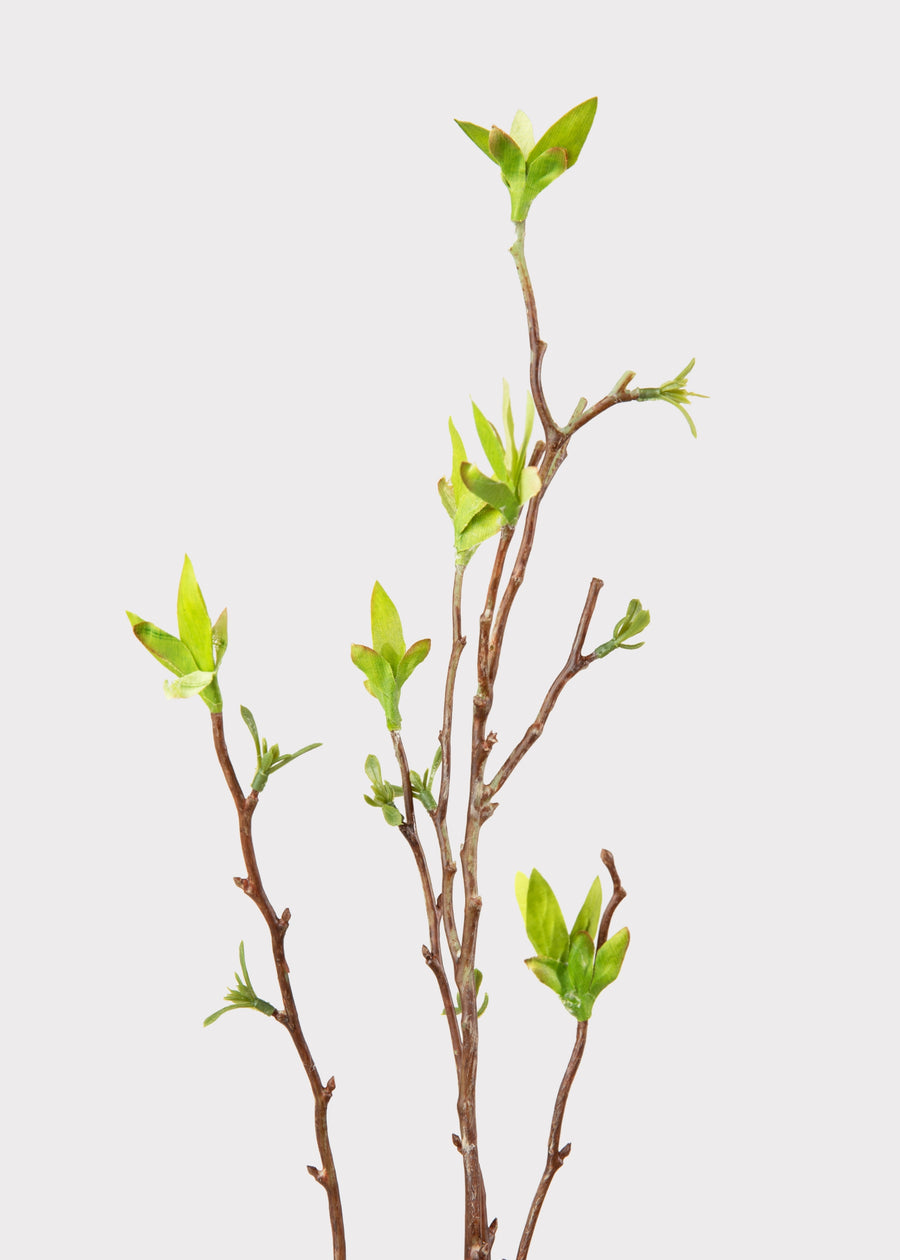 Fake Plants | Artificial Plants at Afloral.com – Page 2