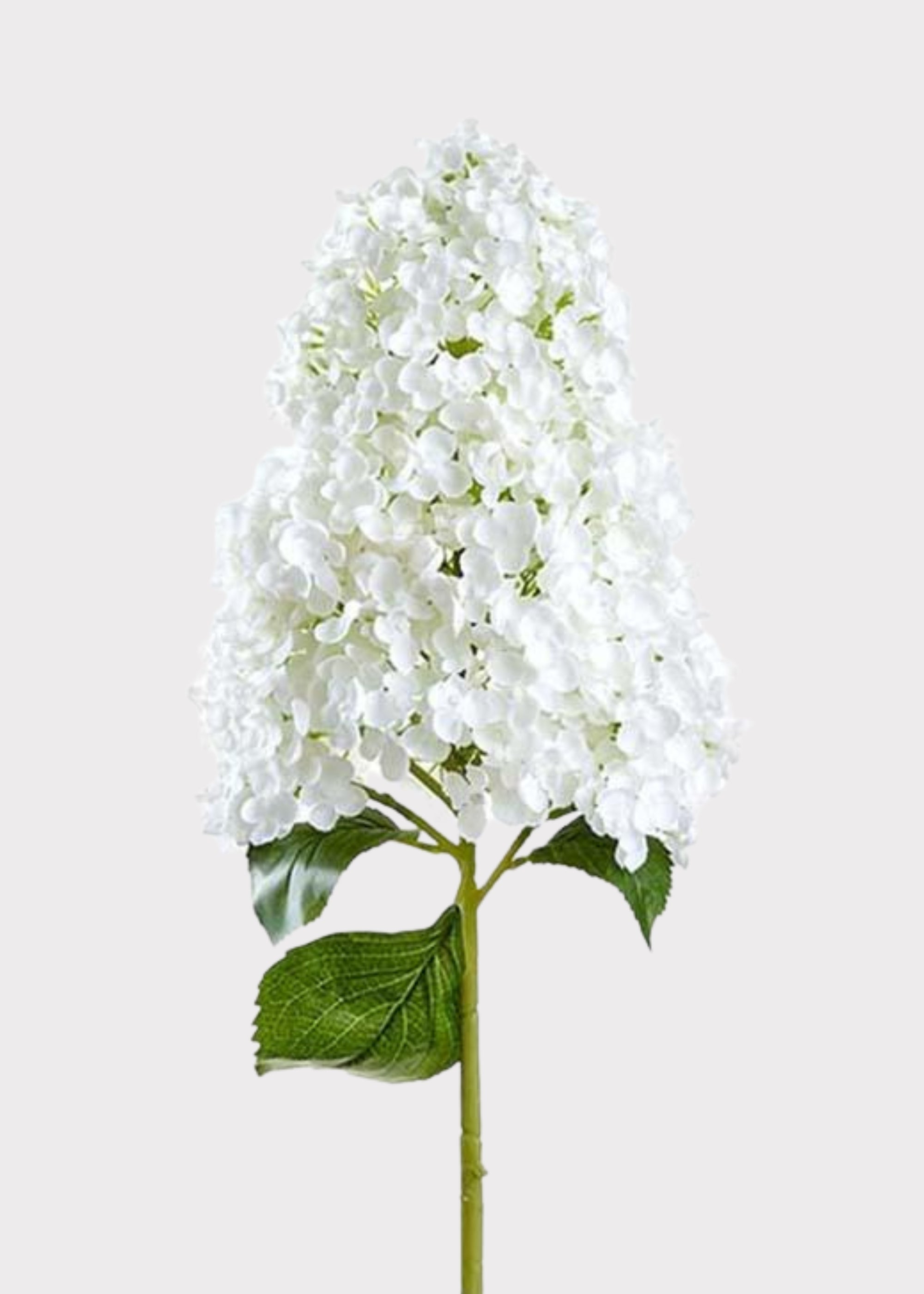 Large Cone Hydrangea in White | Best Faux Wedding Flowers | Afloral