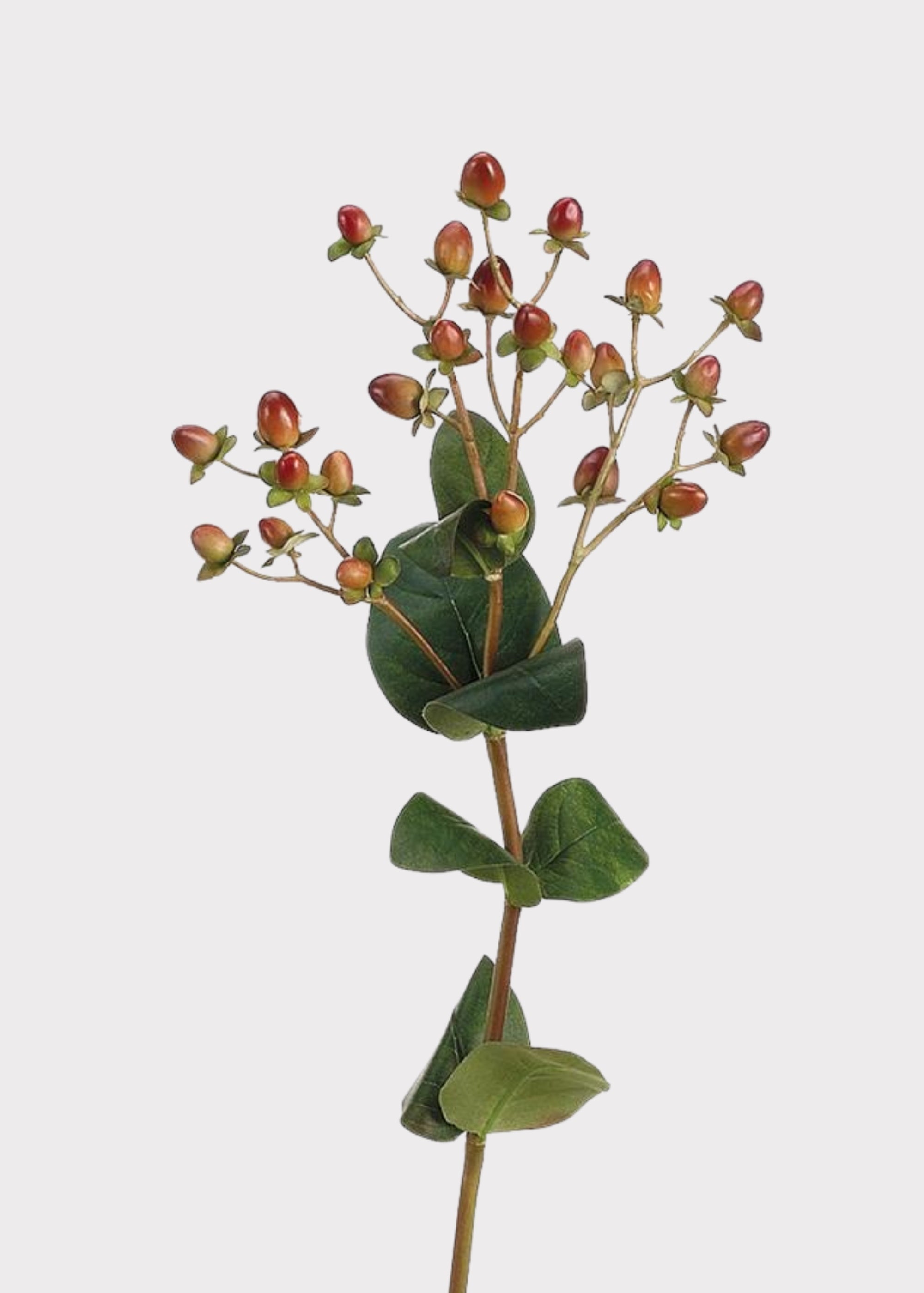 Burgundy Hypericum Berry Branch | Realistic Fake Berries | Afloral