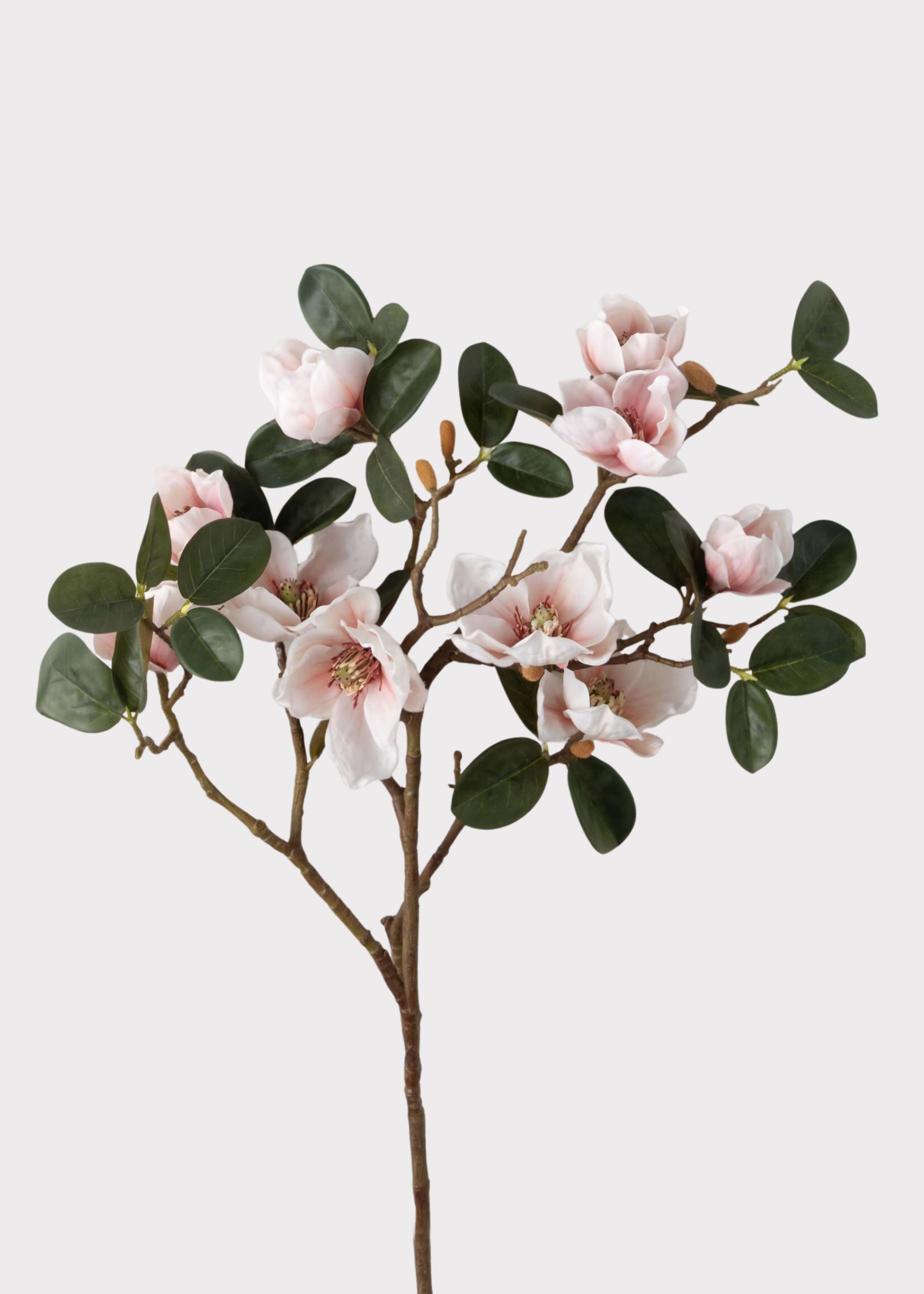 Faux Magnolia Branch in Blush | Artificial Spring Flowers | Afloral