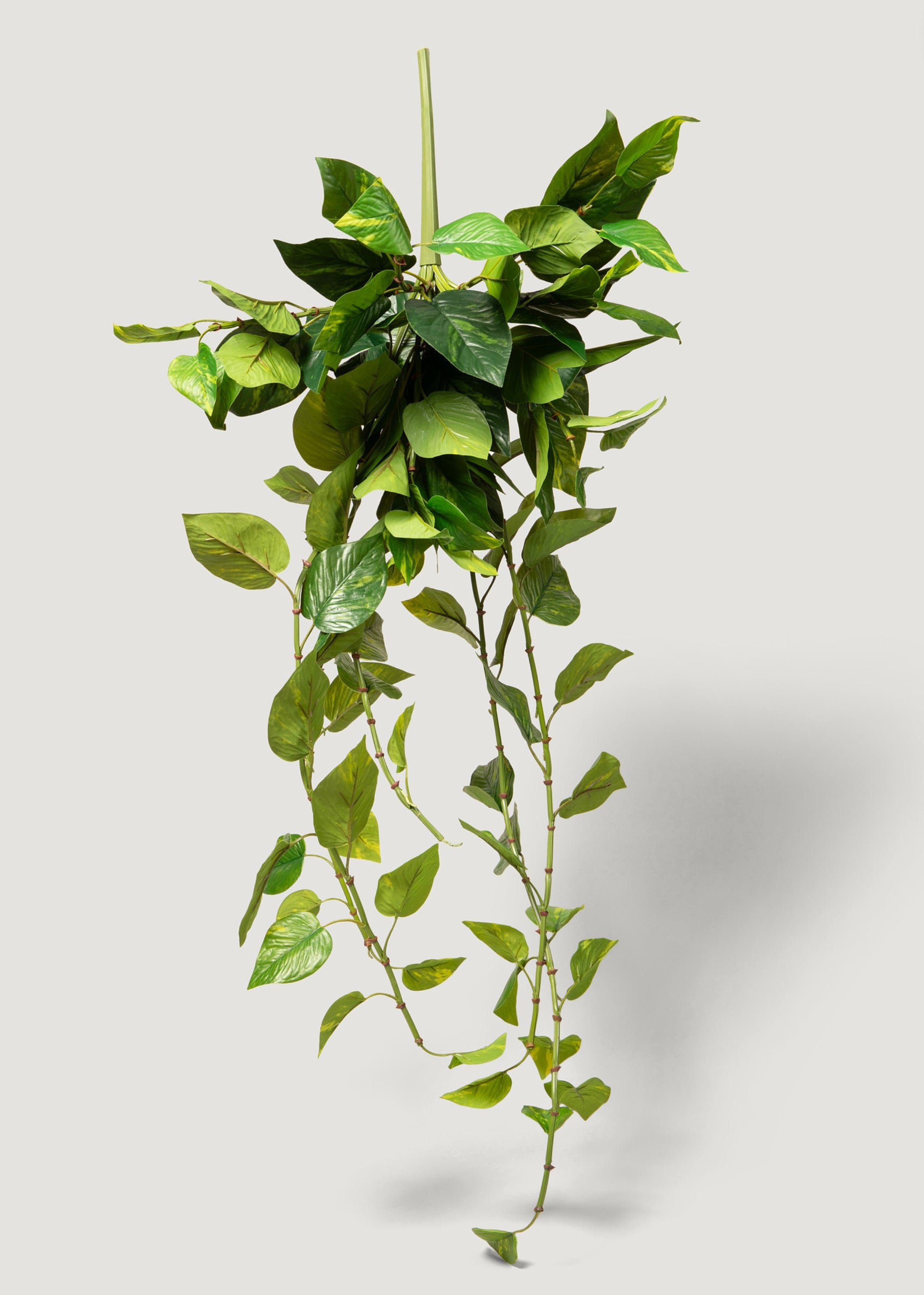 Real Touch Hanging Fake Plant | Natural Touch Faux Houseplants Afloral