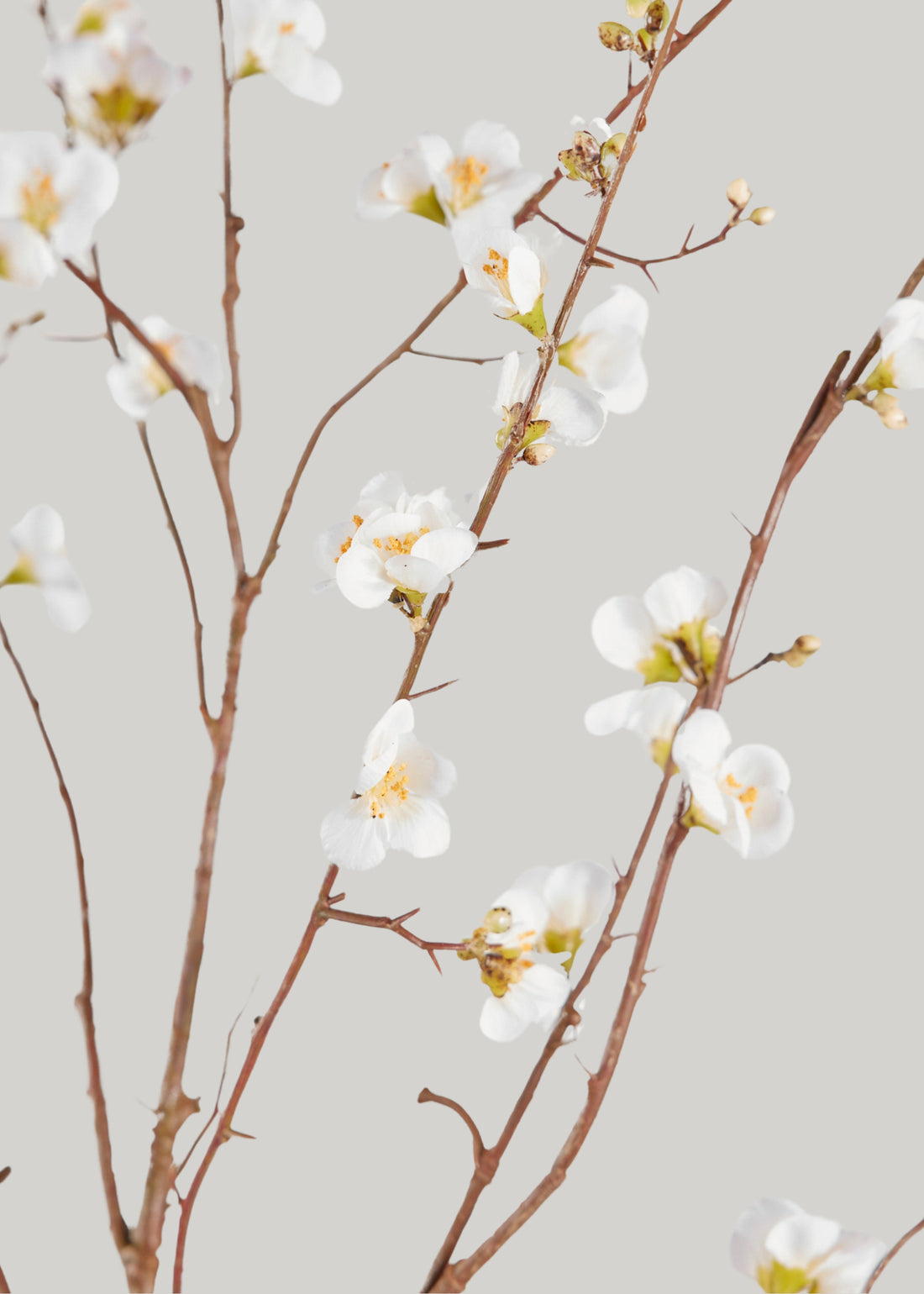 Cream Blossom Branch | Faux Branches | Afloral.com