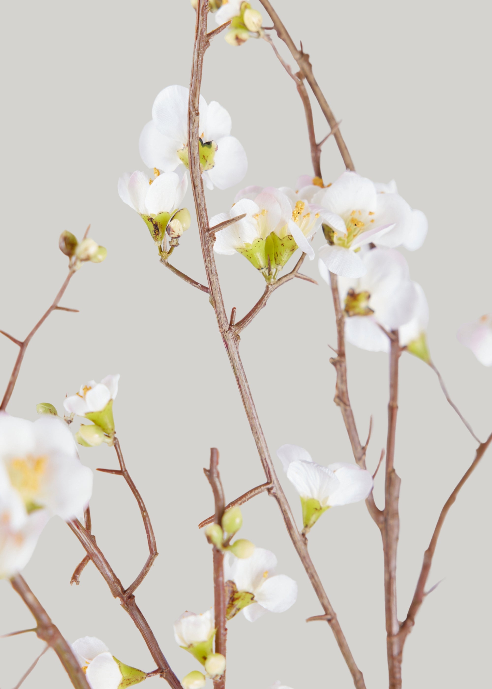 Cream Blossom Branch | Faux Branches | Afloral.com