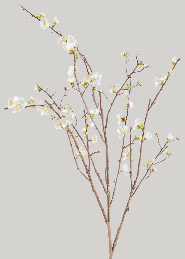 Cream Blossom Branch | Faux Branches | Afloral.com