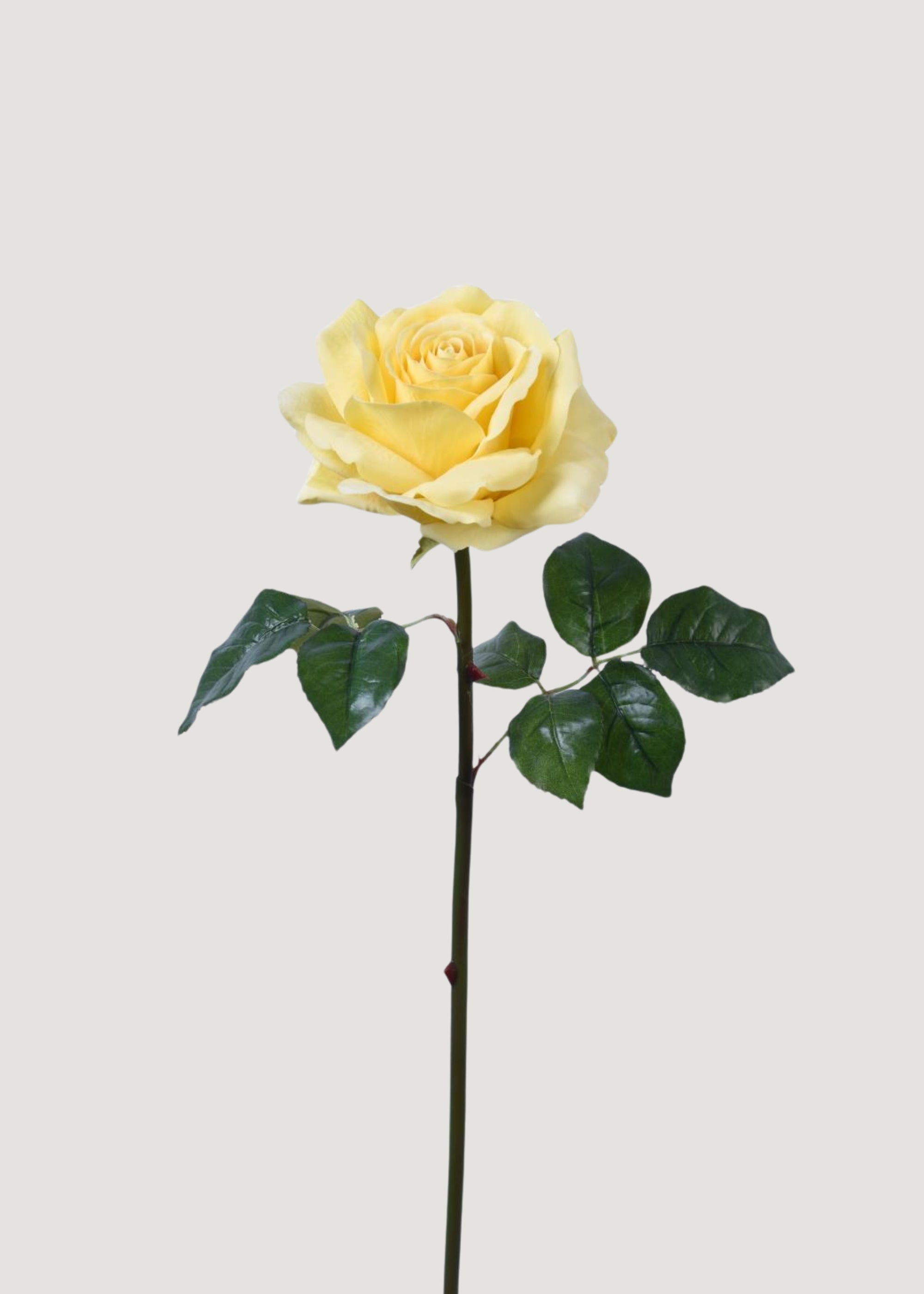 Yellow Real Touch Rose | Best Artificial Flowers at Afloral