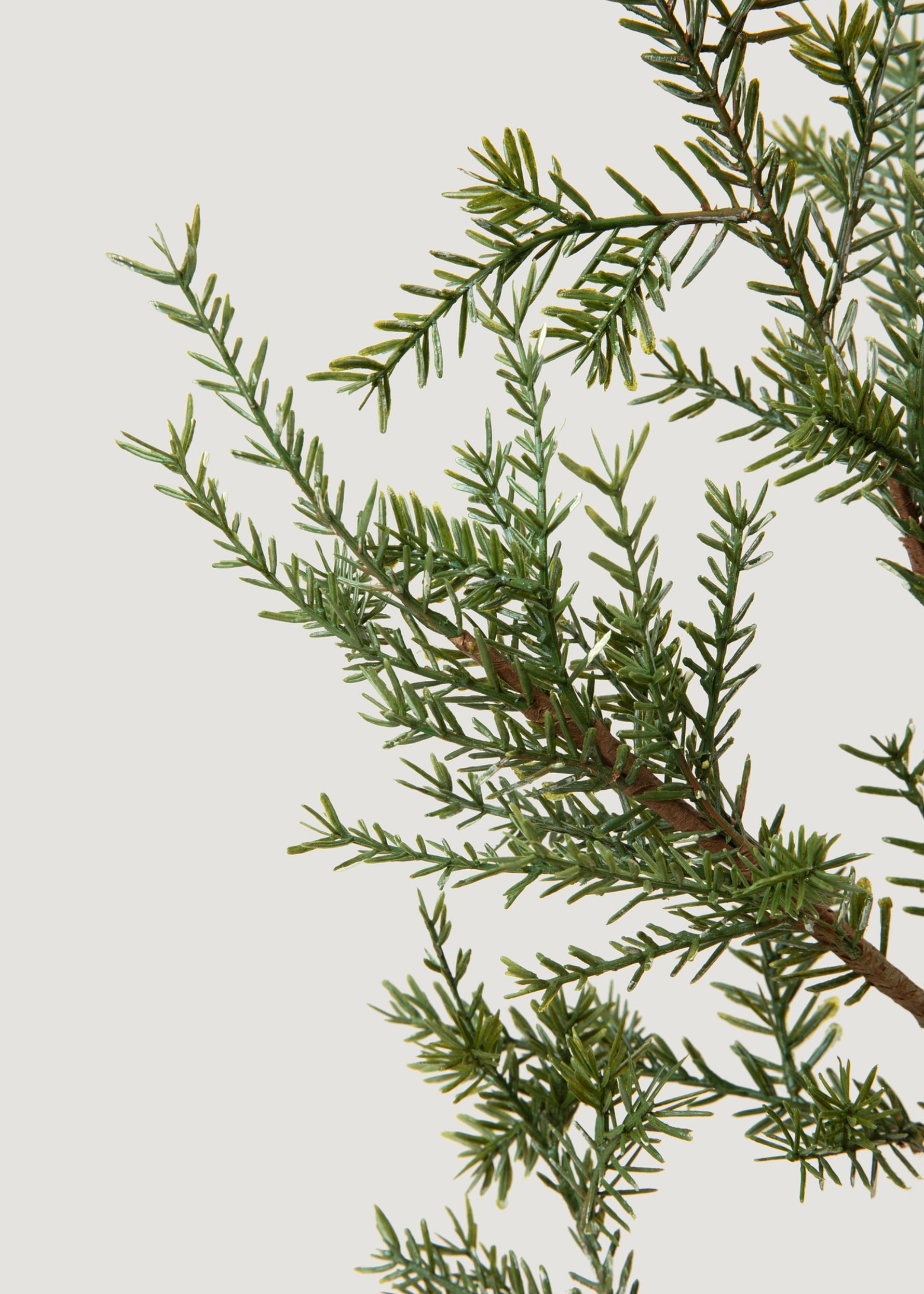 Table Top Pine Tree in Pot | Fake Potted Christmas Trees | Afloral
