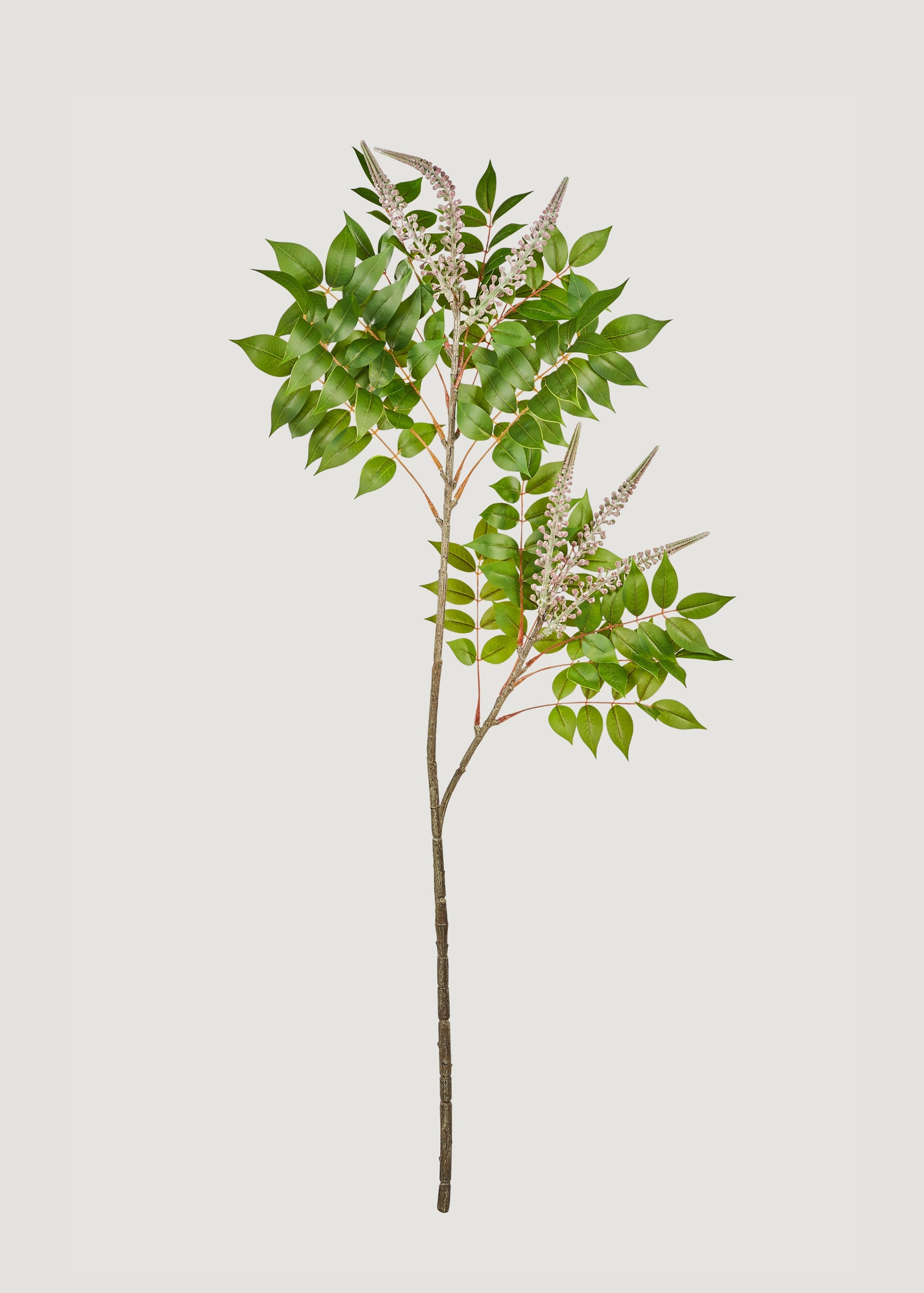 Japanese Lacquer Tree Branch | Tall Artificial Leaf Stems | Afloral
