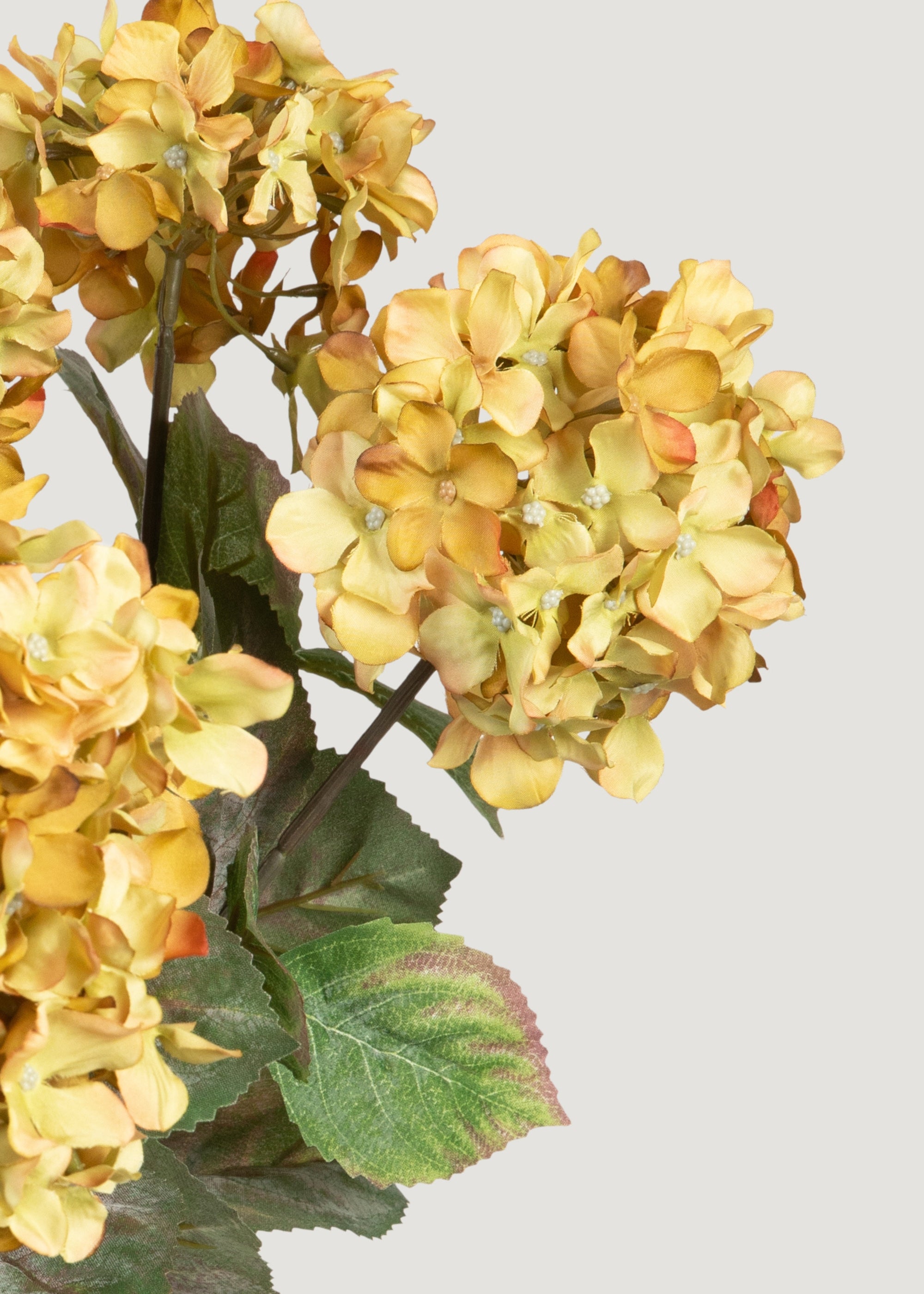 Vintage Green Hydrangea Bush | Premium Artificial Flowers | Afloral