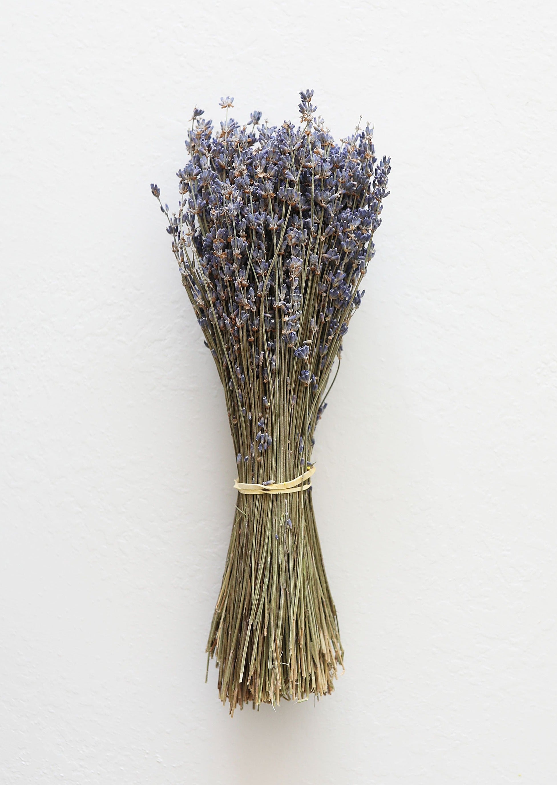 Natural Fragrant Dried Lavender Bundle | Dried Flowers at Afloral