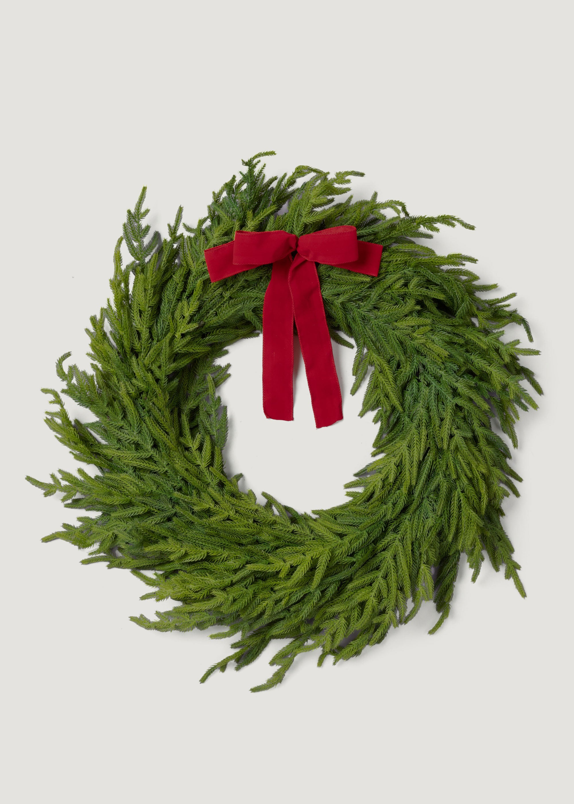 Artificial Norfolk Pine Wreath with Bow | Holiday Wreaths at Afloral