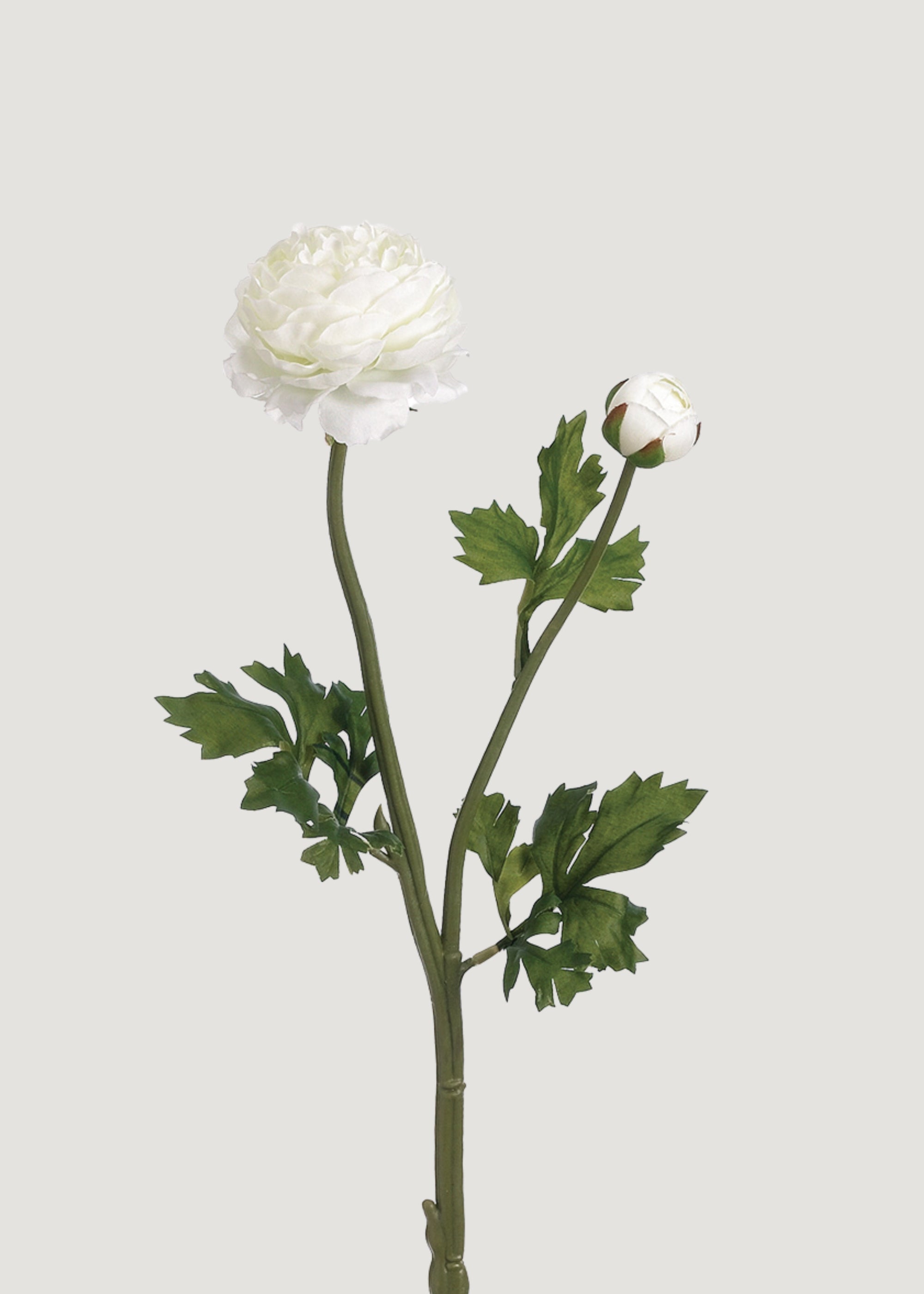 Ranunculus Stem in White | Permanent Artificial Flowers | Afloral
