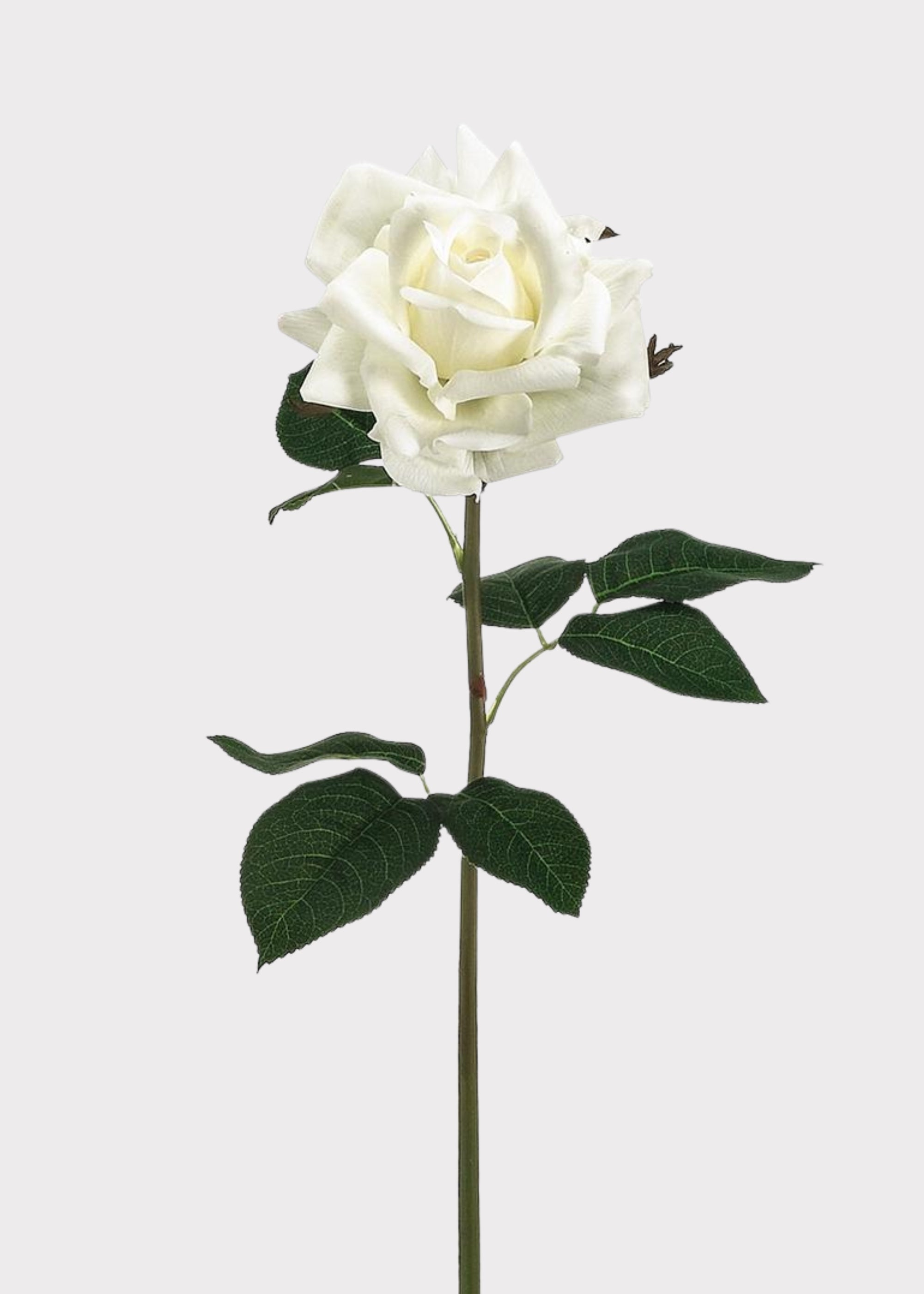 Fake Roses: Real Touch & Artificial Bouquets | Afloral