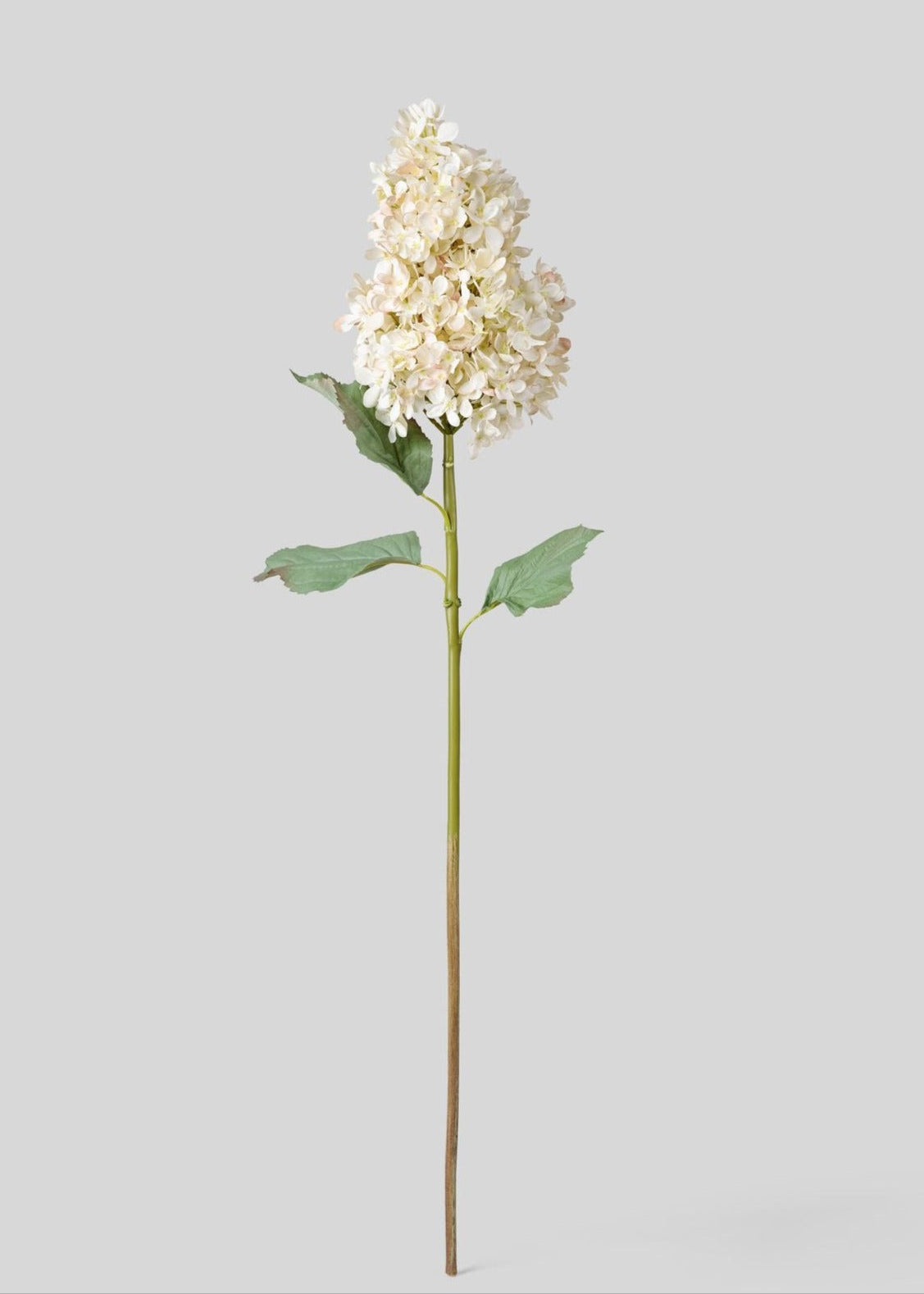 Large Faux Dried Look Hydrangea | Premium Fake Flowers at Afloral