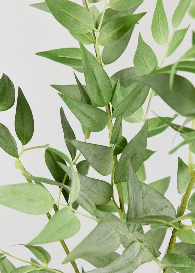 Large Italian Ruscus Spray | Best Artificial Leaves at Afloral.com